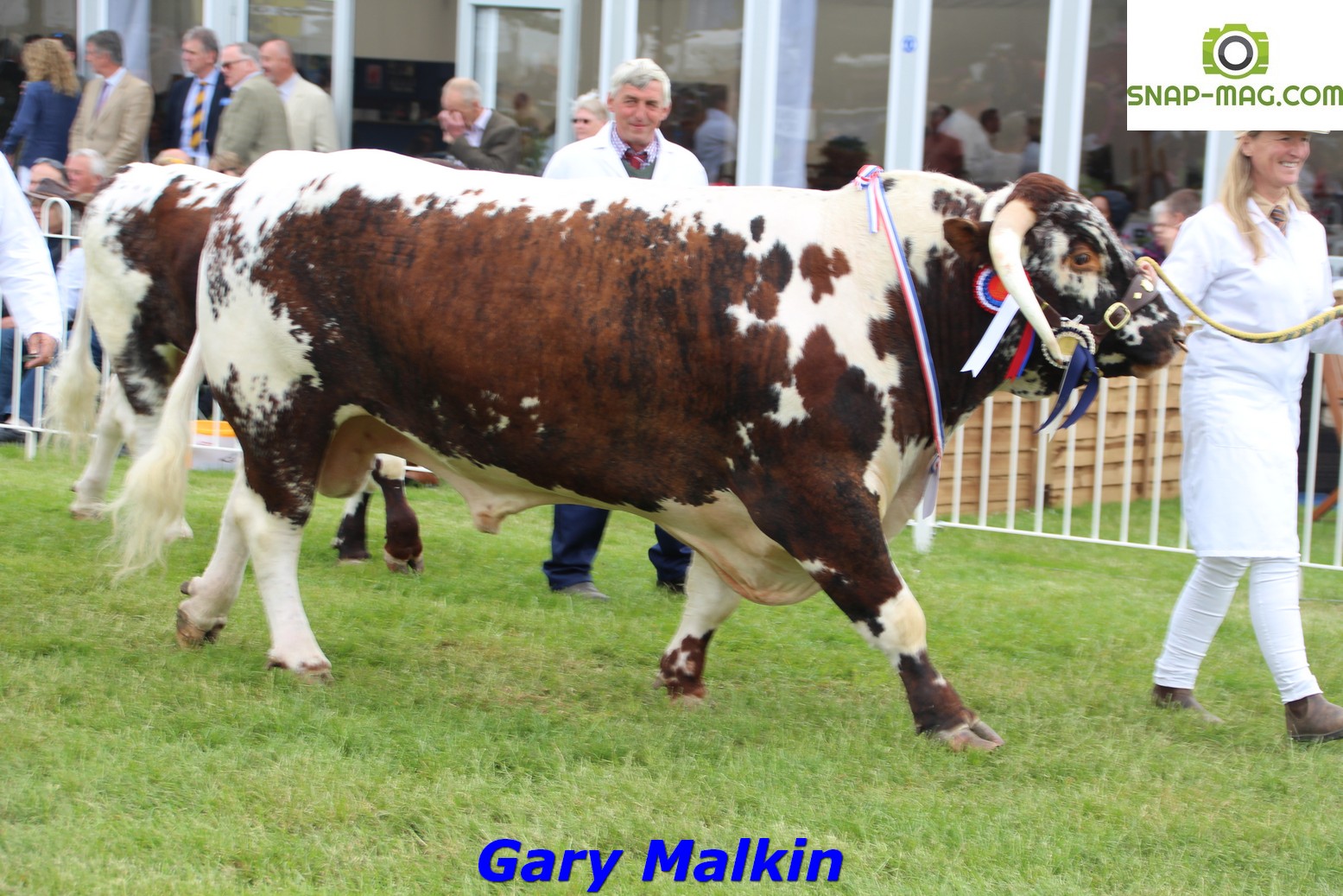 Suffolk Show 2019 – Snap-mag.com