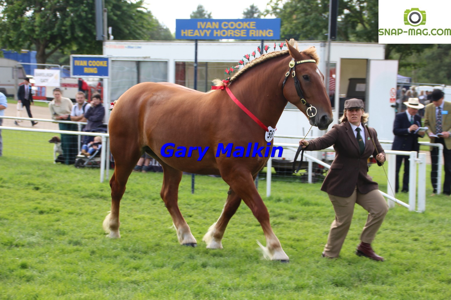 Heavy Horses at Royal Norfolk Show 2019 – Snap-mag.com