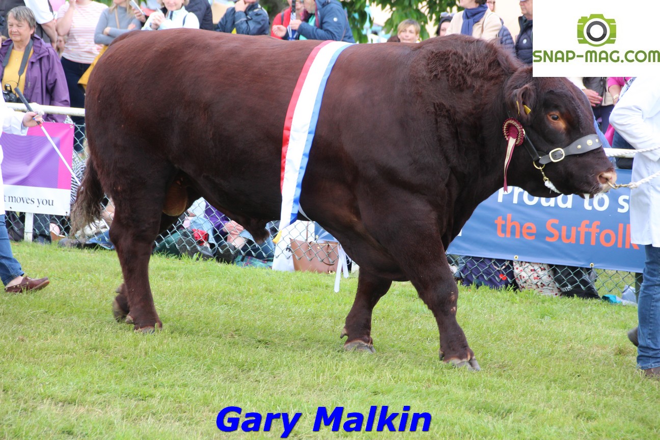 Suffolk Show 2022 – Snap-mag.com